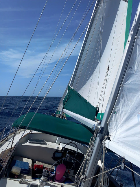 Salt Whistle Sailing