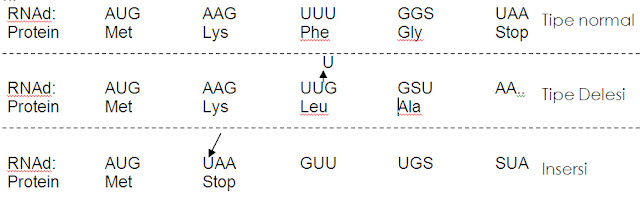 MUTASI | BIOLOGI SMA