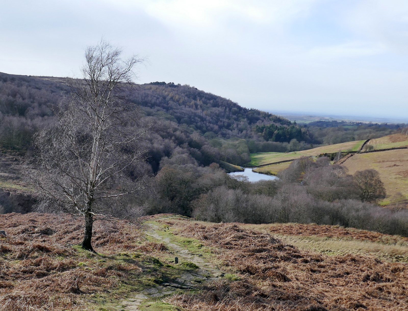 Walking in North Yorkshire: Nether and Over Silton to Hanging Stone and ...