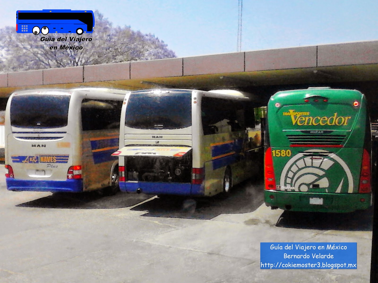 Grupo Vencedor, los autobuses de la Huasteca