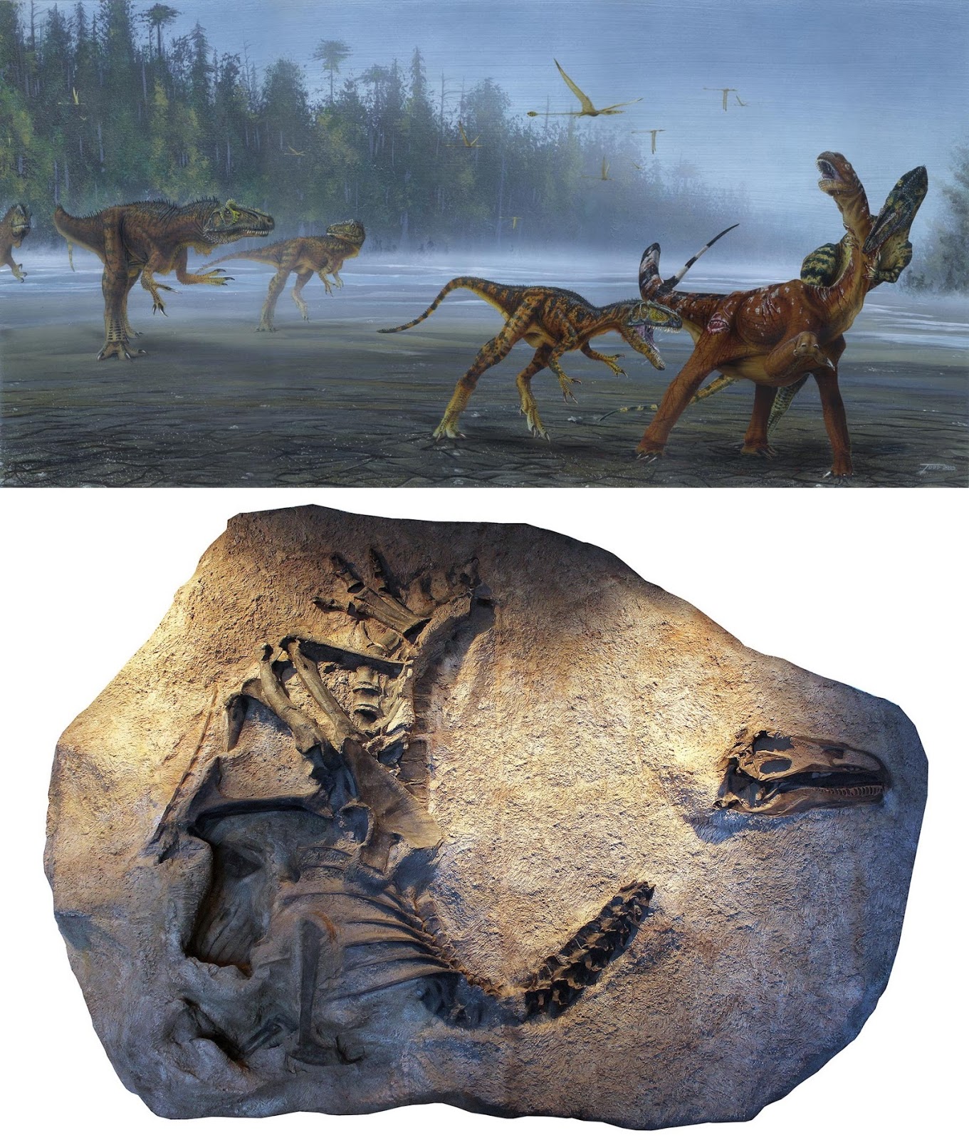 Allosaurus Size Comparison