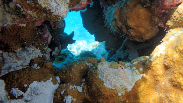 Crawshaw's Tokelau adventure: Fenua Loa- beautiful photo's. July ...