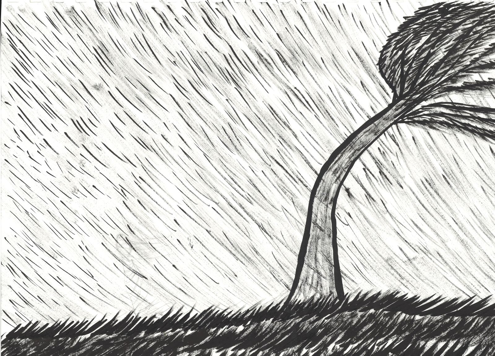 imagemaking: A Tree In A Storm