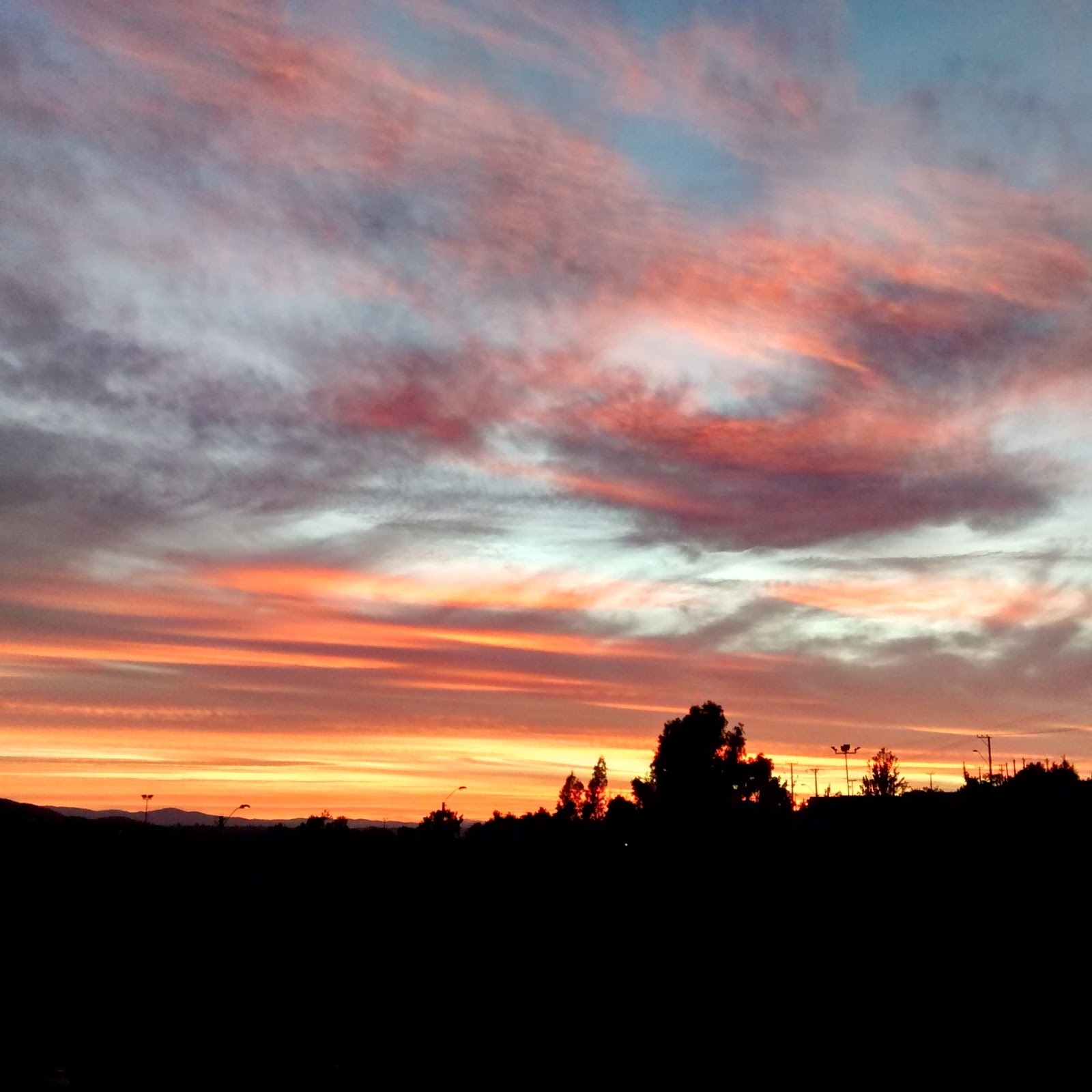 some of my favourite photos!