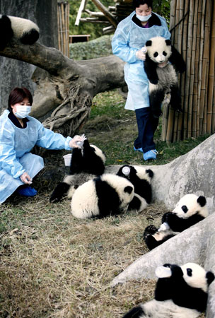 SAVE THE PANDAS