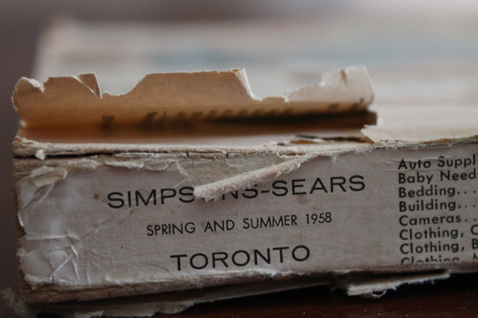 A Little Bit of Everything: Summer Fashions in 1958