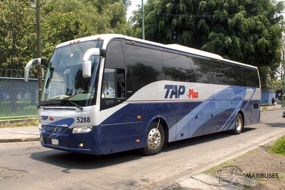 MAXIBUSES: TRANSPORTES Y AUTOBUSES DEL PACÍFICO, PLUS (TAP)