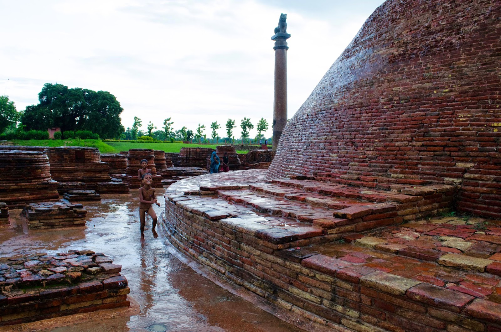 ME TURTLE: Ancient City Vaishali