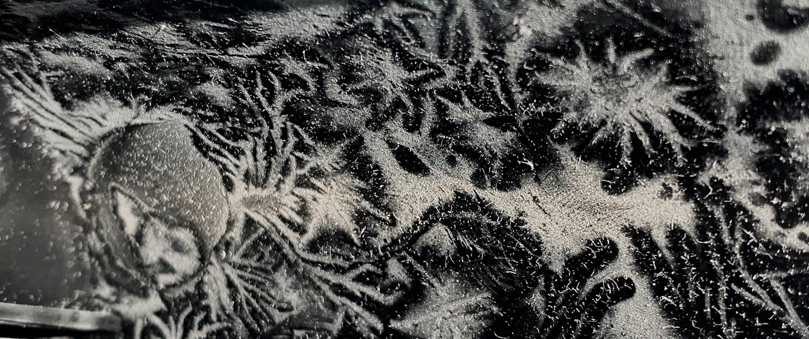 Matla and Archive Shredder Dust Fractals