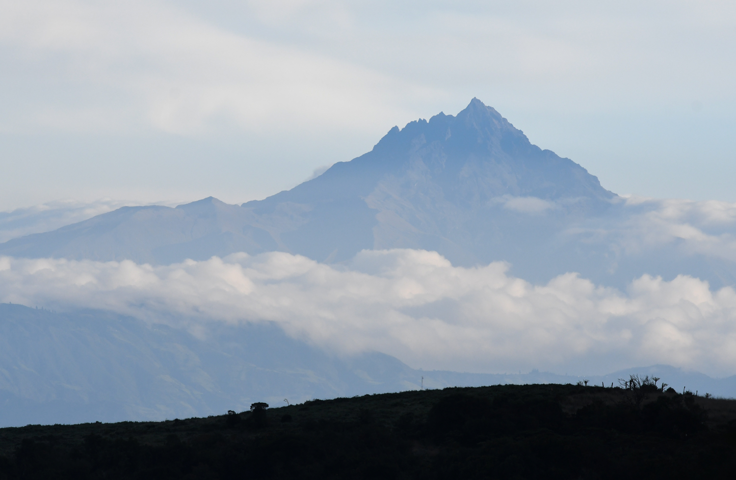 Explorations of an Ecologist: Reserva Yanacocha snipe hunt