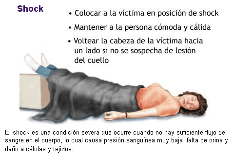 Primeros Auxilios: Shock