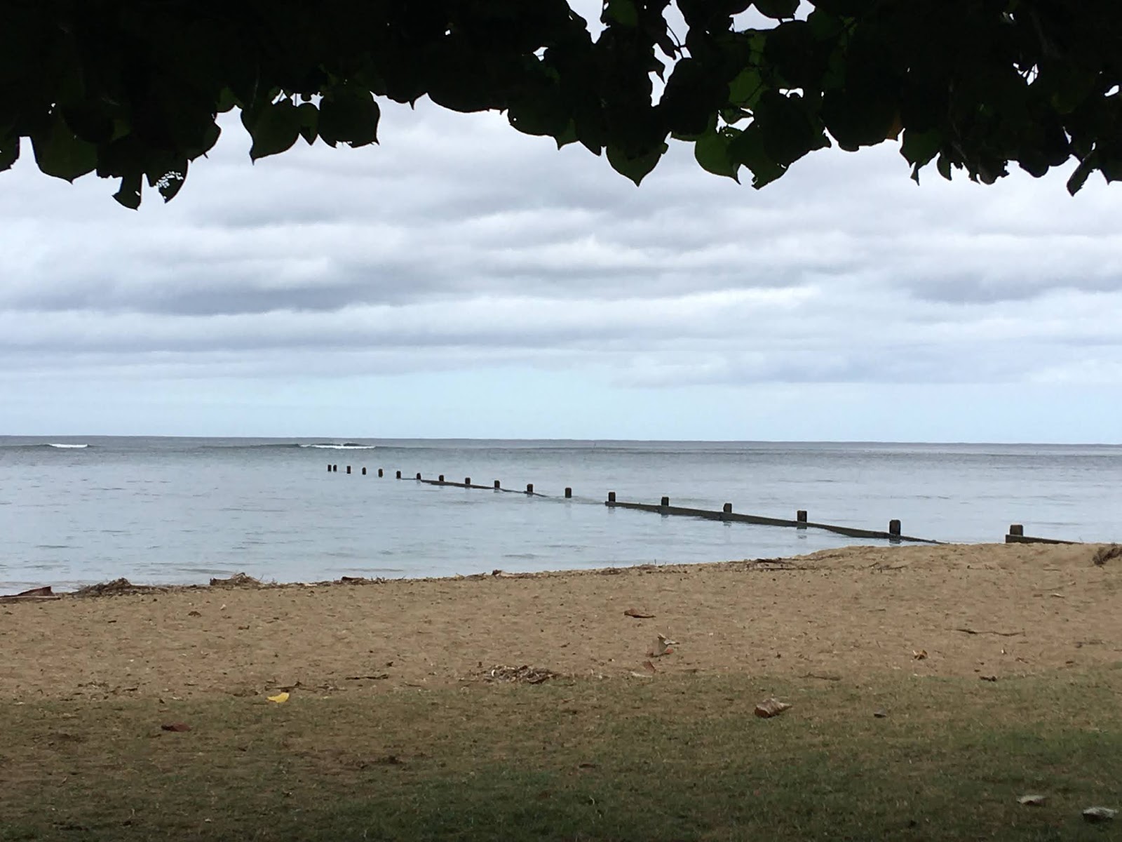 Waialae streams and a Kapakahi puzzle