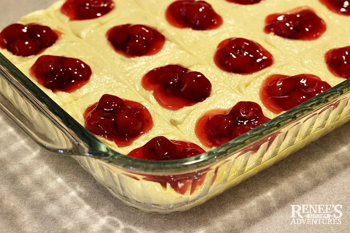 Shelly's Cherry Squares | Renee's Kitchen Adventures