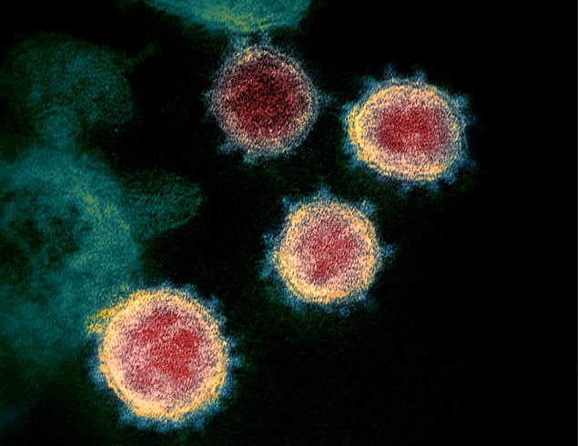 Avian Flu Diary: UCL: Emergence of Genomic Diversity & Recurrent ...