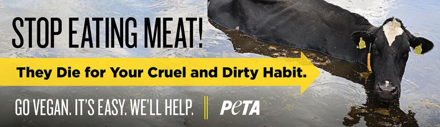TKC MUST SEE!!! PETA DEBUTS 'STOP EATING MEAT' KANSAS CITY BILLBOARDS ...
