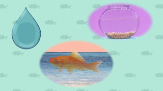 Watch Elmo's World Fish