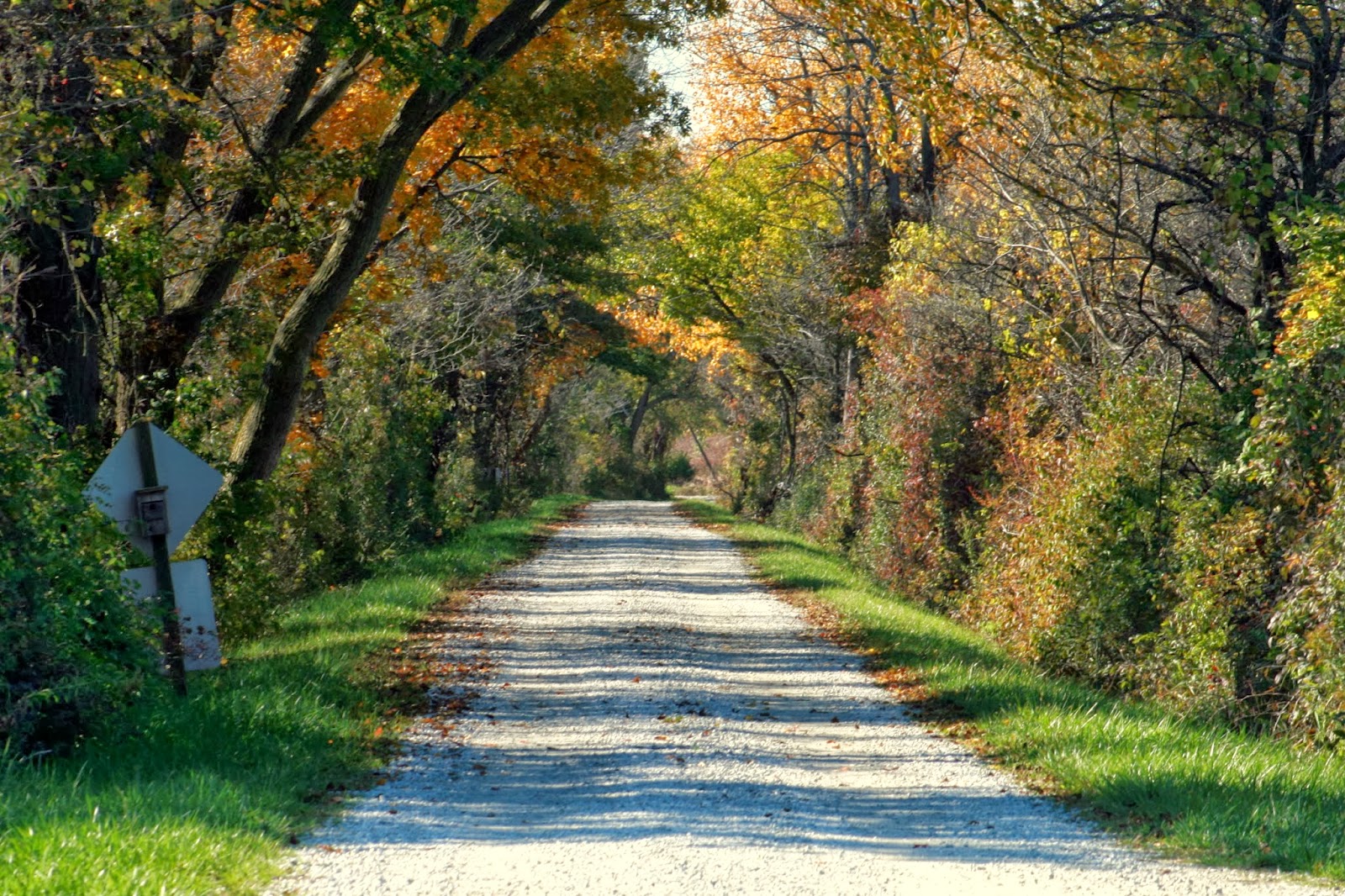 The Vintage Husband: Random Photos