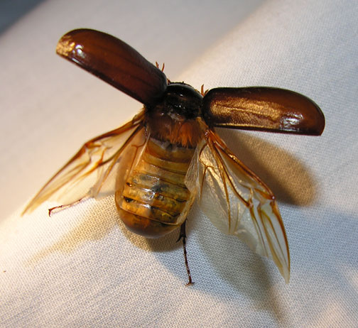 the curiosity payoff: 2017