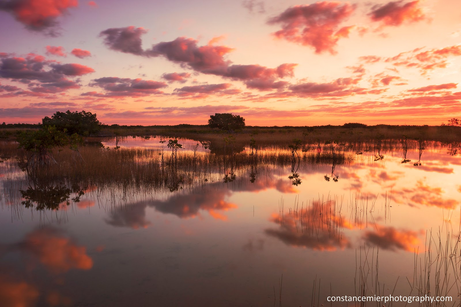 Florida Photography from a Canoe