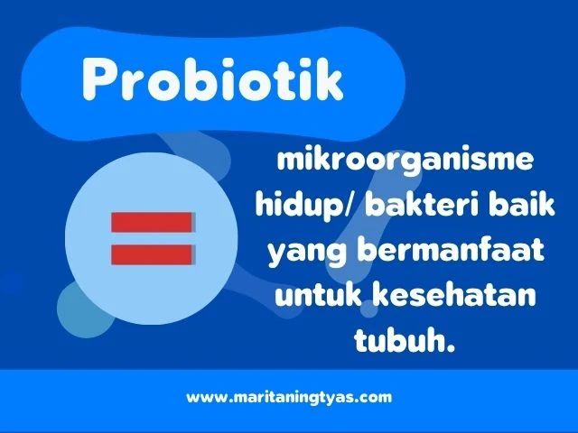 √Apa Itu Probiotik, Fungsi dan Jenis-jenisnya?