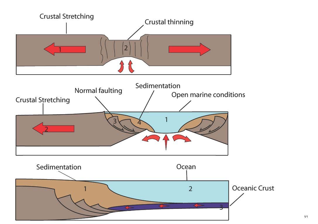 Hydrocarbon Traps