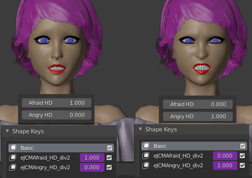 Diffeomorphic: Morphs section