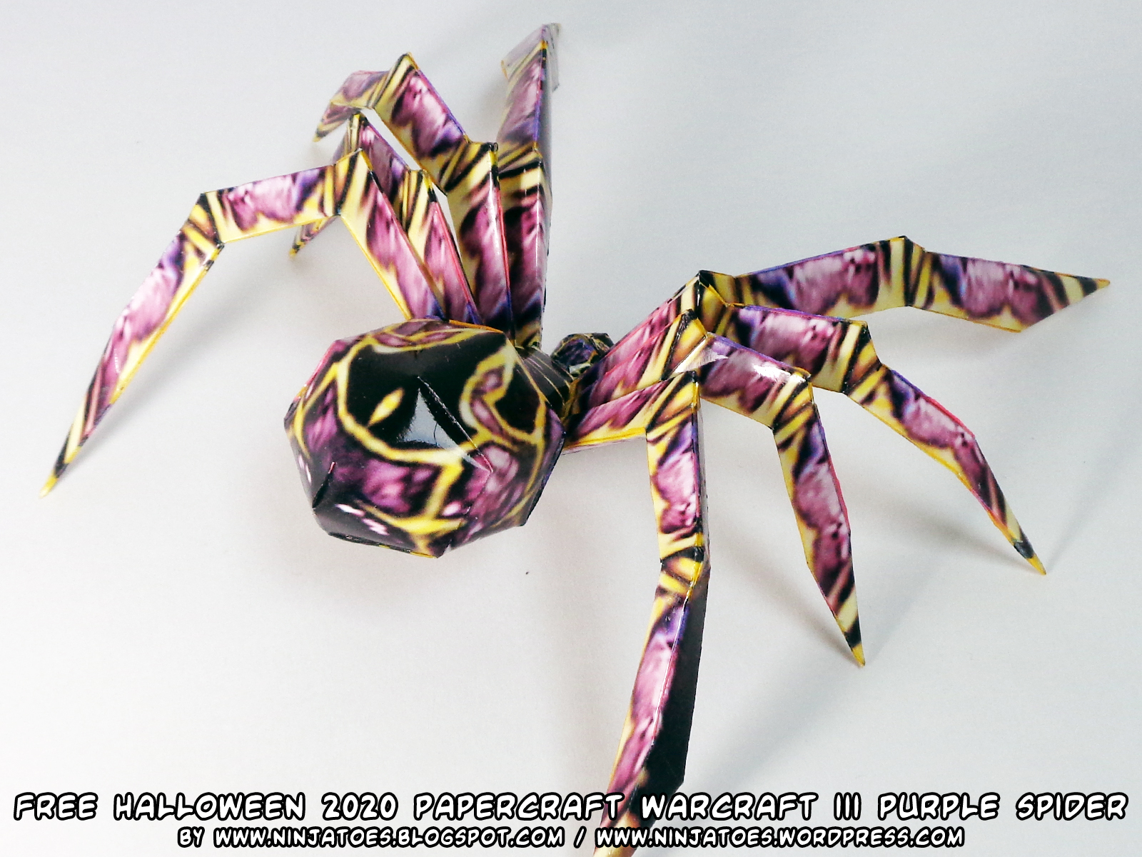 Ninjatoes Papercraft Weblog Papercraft Spider Collection Images And Images And Photos Finder