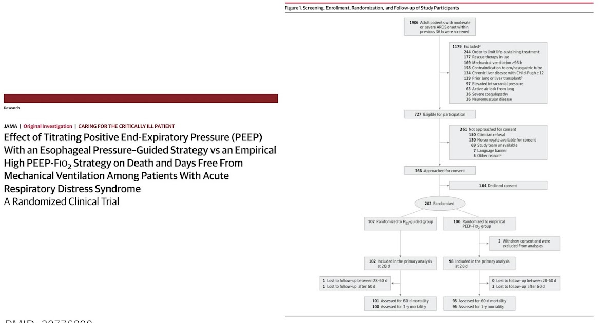 West Saitama Central Hospital: Respiratory Department: Effect of ...