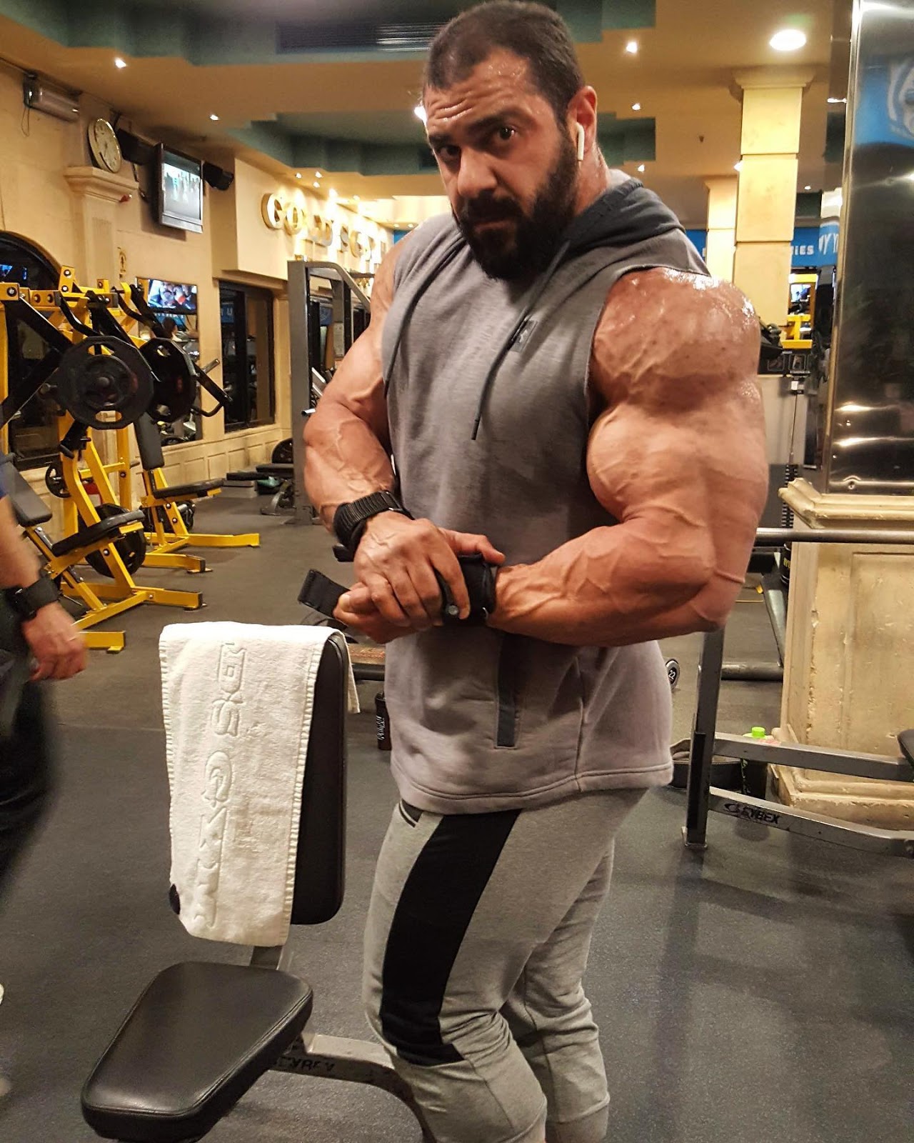 Worldwide Bodybuilders: Libyan daddy stallion Amjed Omar