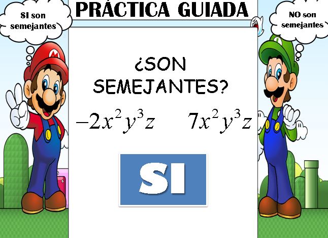 Matematica Primer Nivel Medio Educ Adultos: Termino Semejante