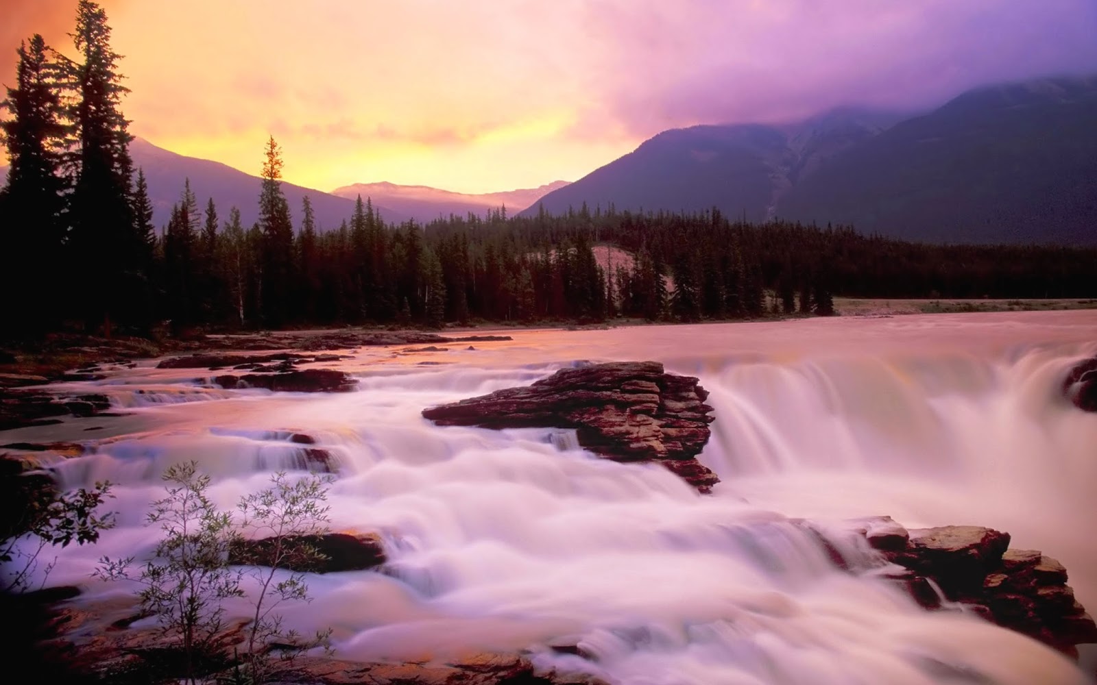 AS MAIS BELAS IMAGENS DA NATUREZA