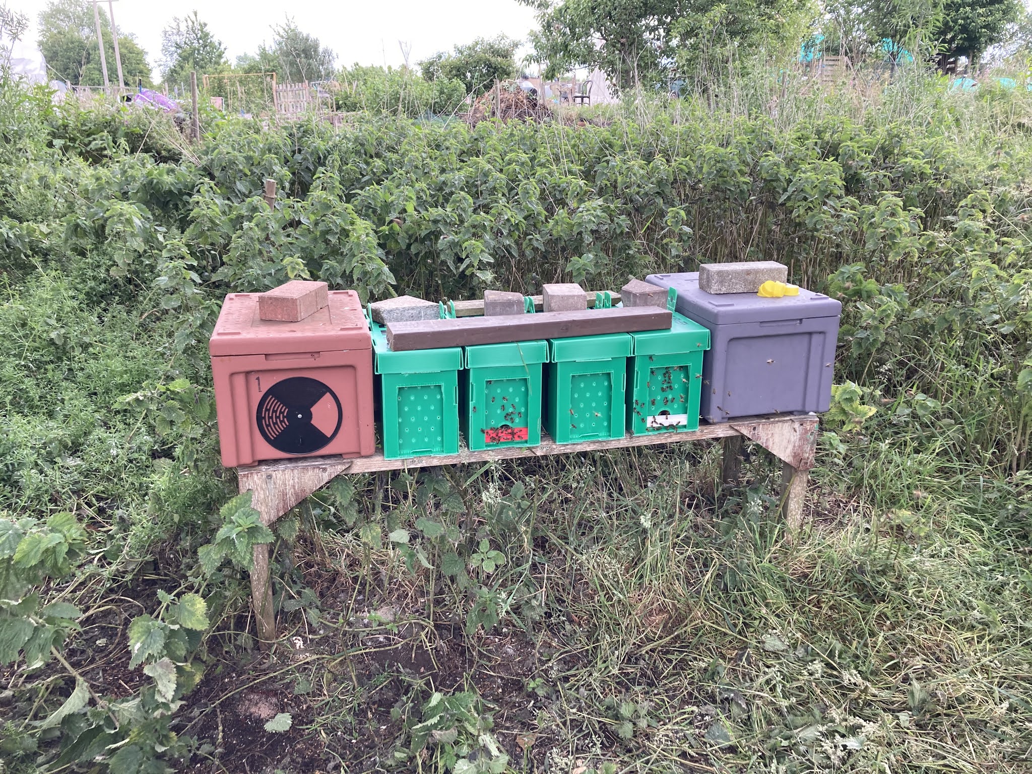 Woodside Apiary