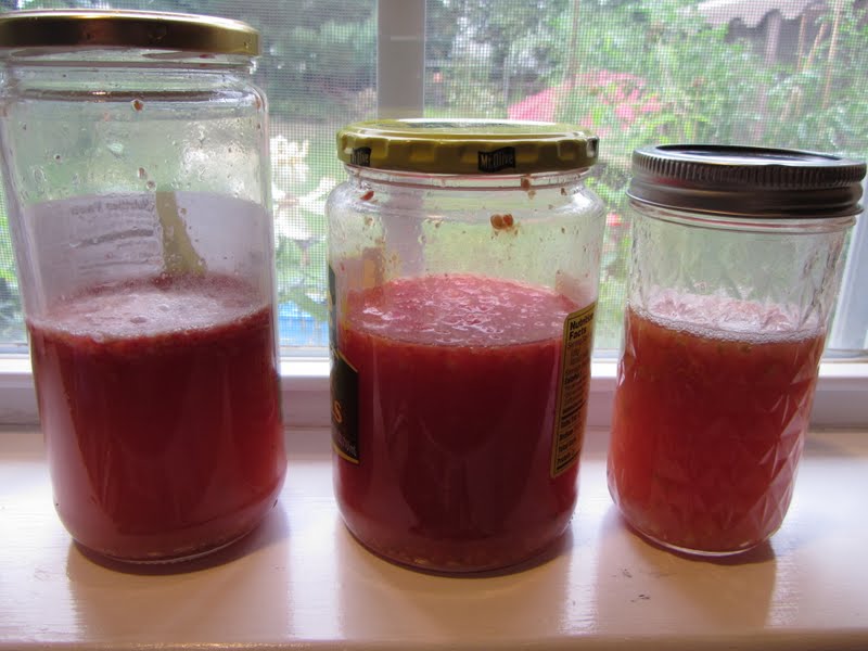 The Rusted Vegetable Garden