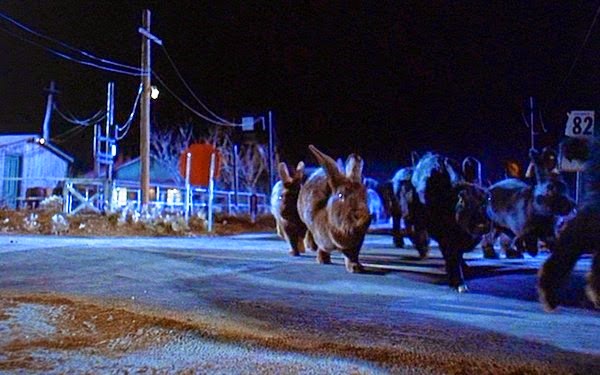 Rabbit Romeo - Alchetron, The Free Social Encyclopedia