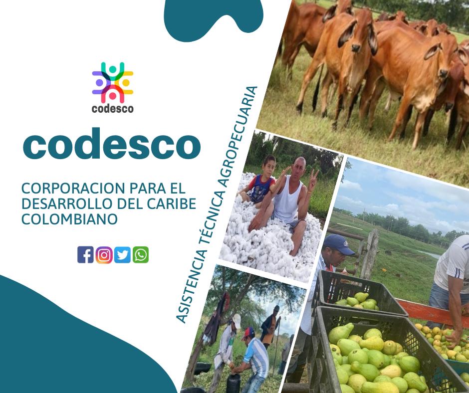 CODESCO