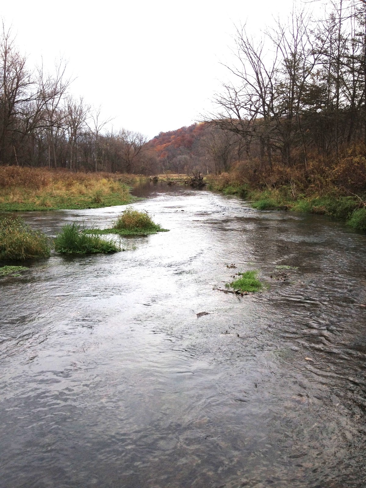 Travels with Rocky the Dog: Whitewater State Park and the Root River Valley