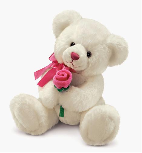 IMAGE WORLD: Cute Teddy Bear Beautiful Collection & Pictures