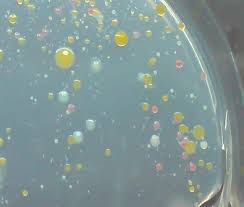 R2A Agar : Use, Composition and Principle - PharmaSOPcorner