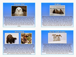 Creative Lesson Cafe: Arctic Animals PowerPoint