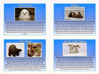 First Grade Gallery- Lessons for Little Learners: Arctic Animals PowerPoint