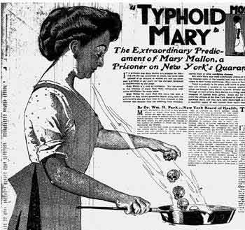 Typhoid Fever: Typhoid Mary
