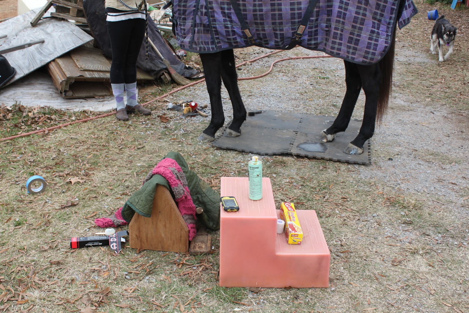 Springstone Horses: Repairing Hoof Cracks