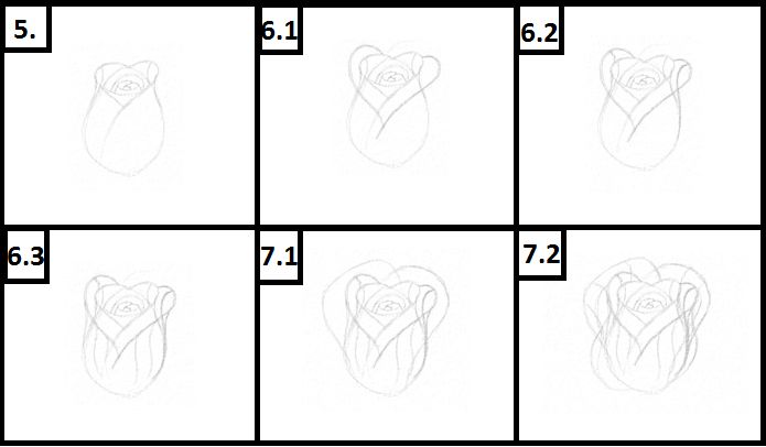Tutorial Lengkap Menggambar Bunga Mawar - Aceppedia