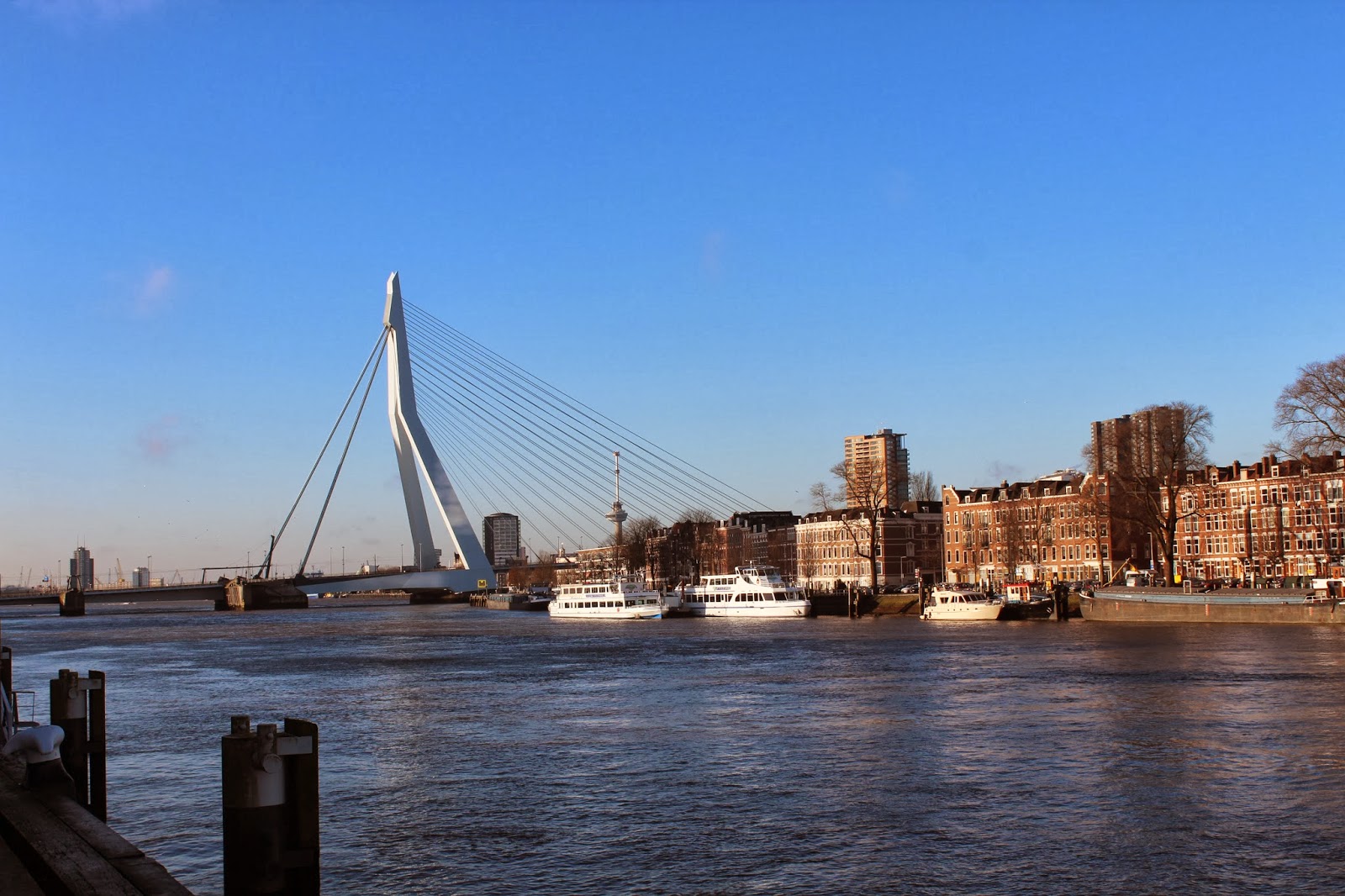 Travels with a Tin Donkey: Rockin', Rollin', and Ridin' at the 2014 ...