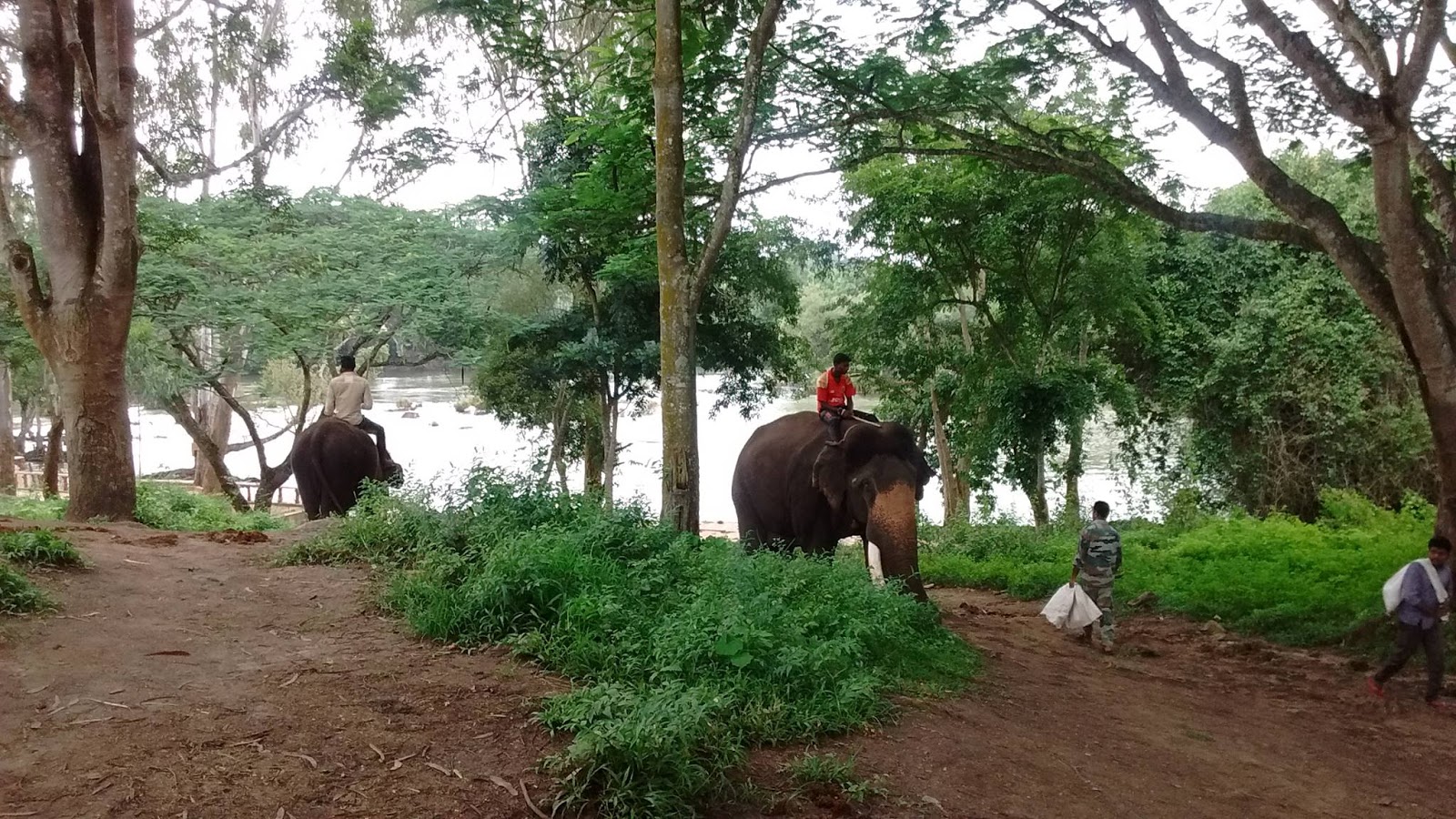 Dubare Elephant Camp: Nestled Along the Sacred Cauvery River in Coorg ...