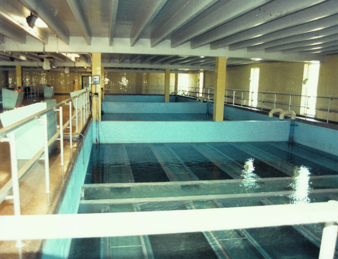 Tonka Water: Surface Water Treatment Options