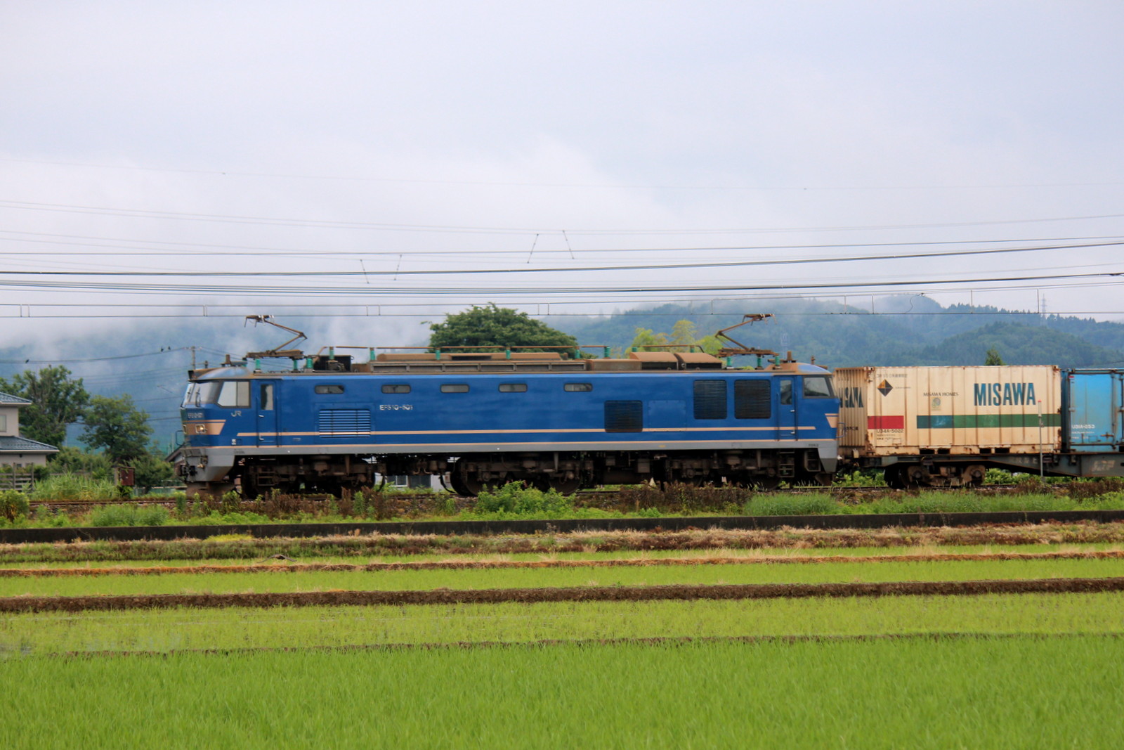 鉄暮らし雑録: 梅雨空を走る～EF510-501
