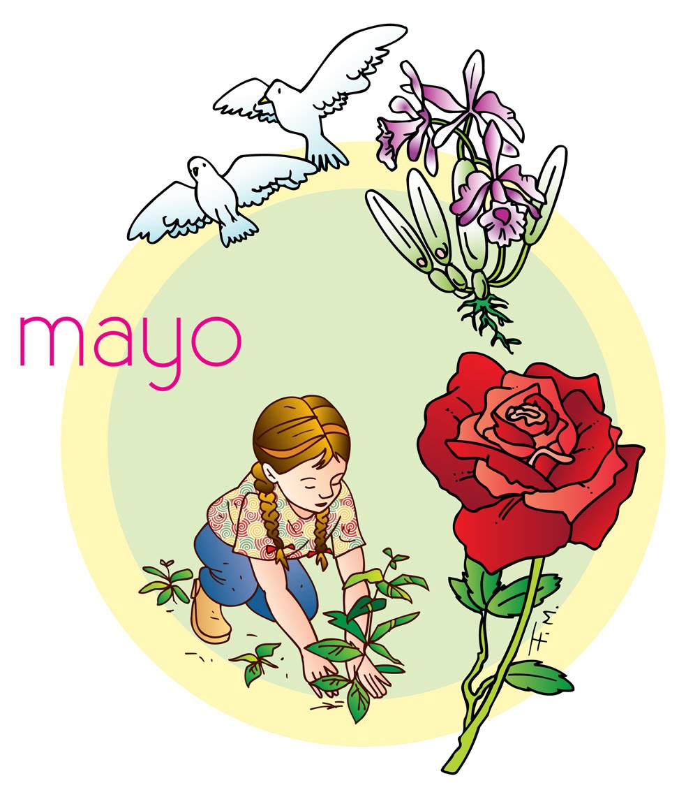 El Maestro en Casa Costa Rica