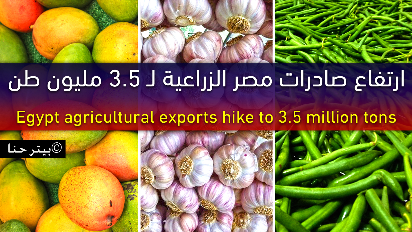 ارتفاع صادرات مصر الزراعية لـ 3 5 مليون طن Egypt Agricultural