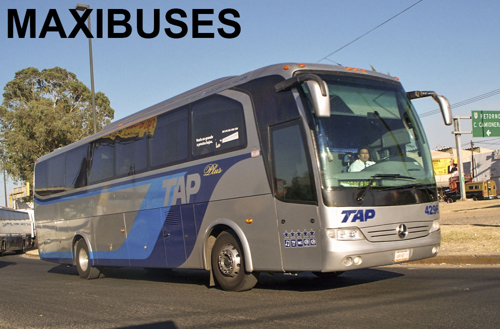 MAXIBUSES: TRANSPORTES Y AUTOBUSES DEL PACÍFICO, PLUS (TAP)